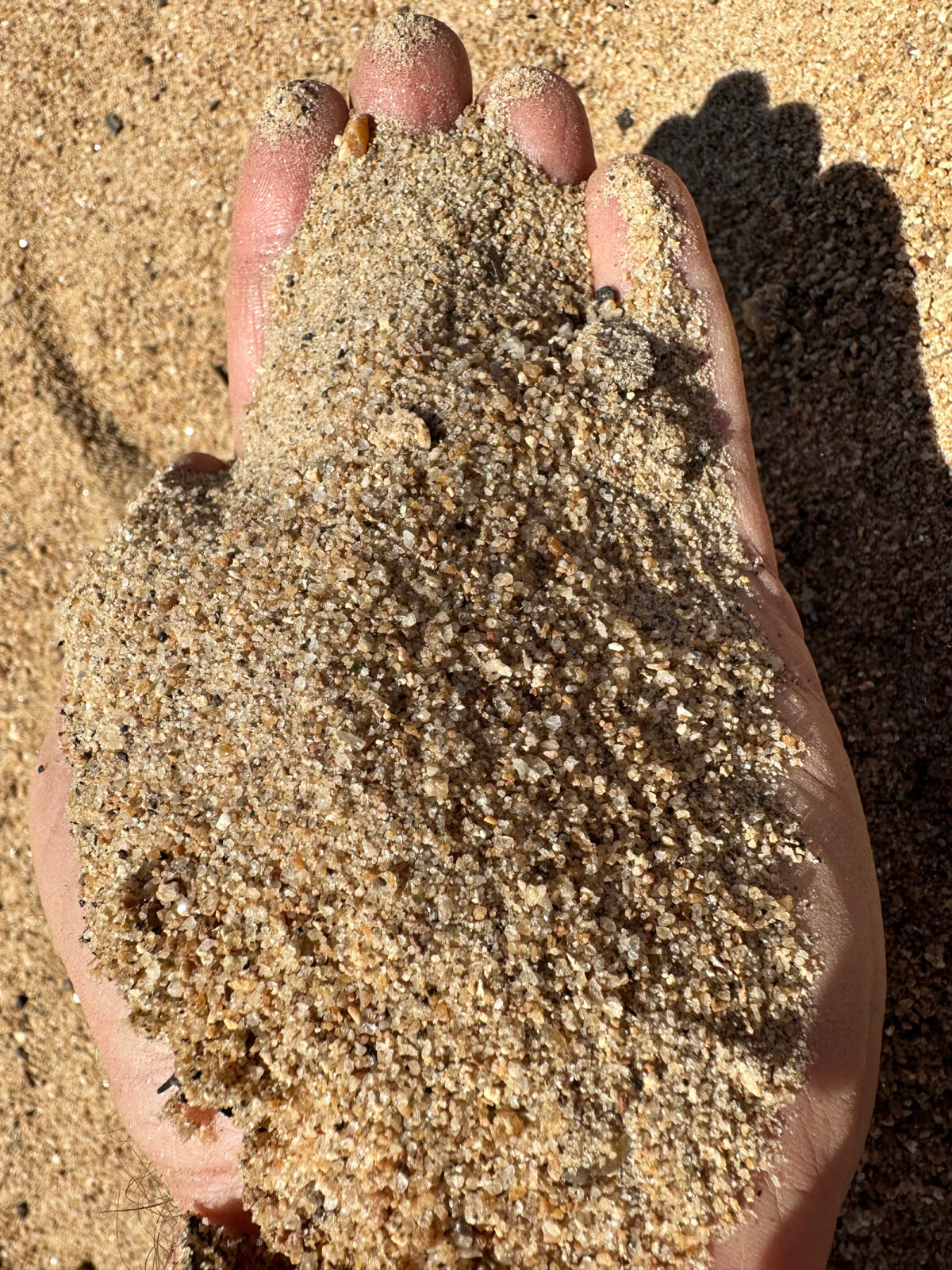 Mulch Solutions – Premium Mulch Blowing Solutions